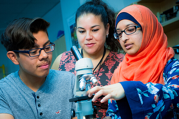 Ph.D. in Education Program: Learning, Cognition, Instruction, and ...